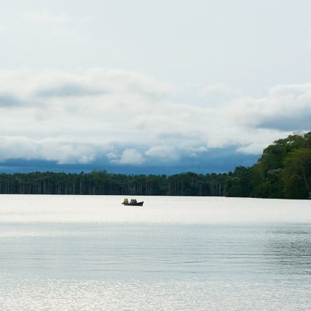 Towards Tambopata - Candamo - Viajes Colón